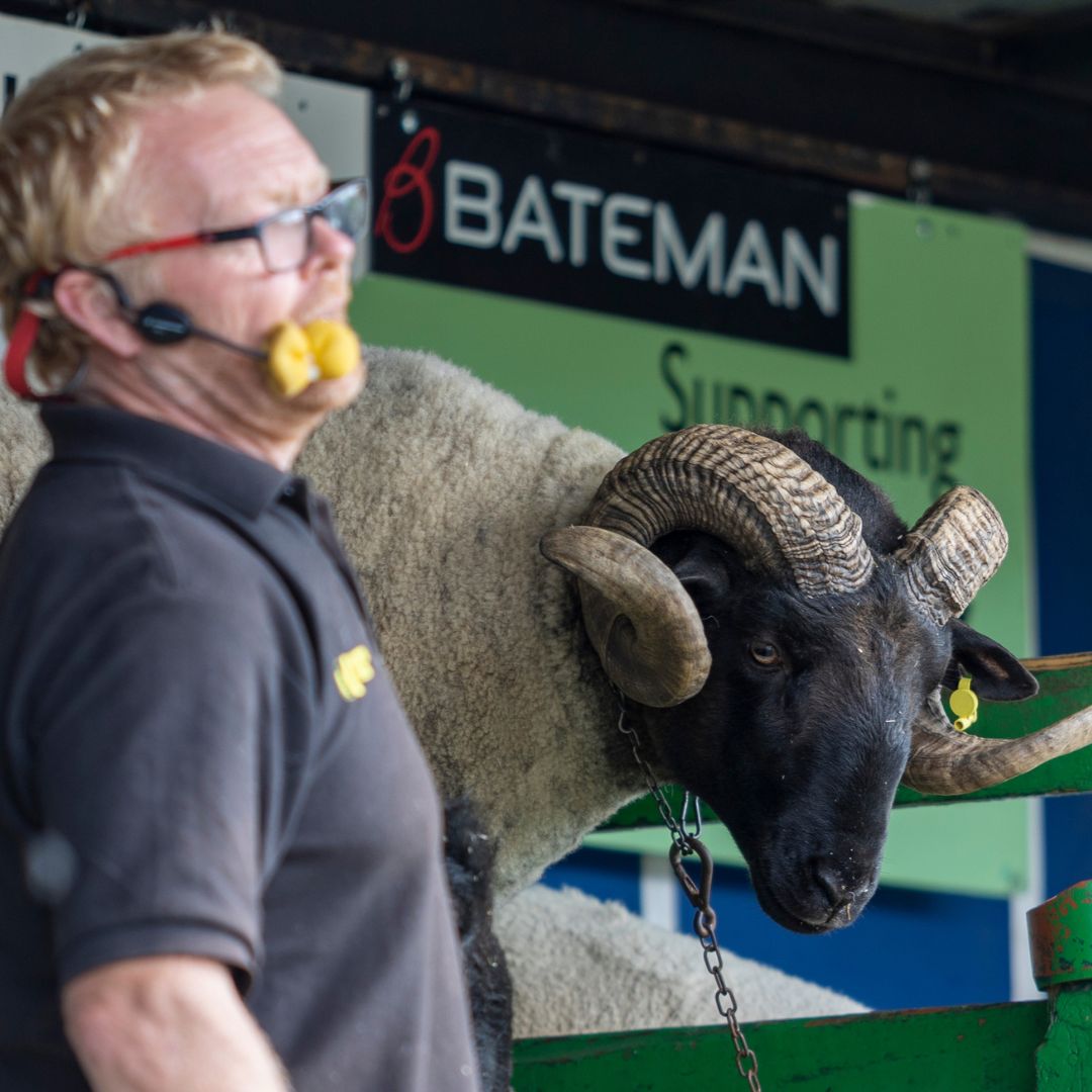 Sheep Show - The National Country Show